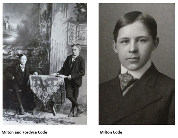 Code History Summary - Code Family History